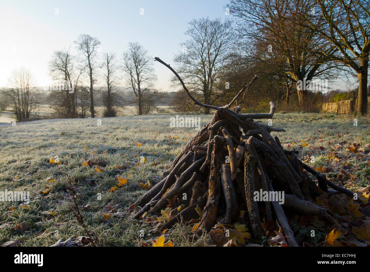 Lloyd park croydon hi-res stock photography and images - Alamy