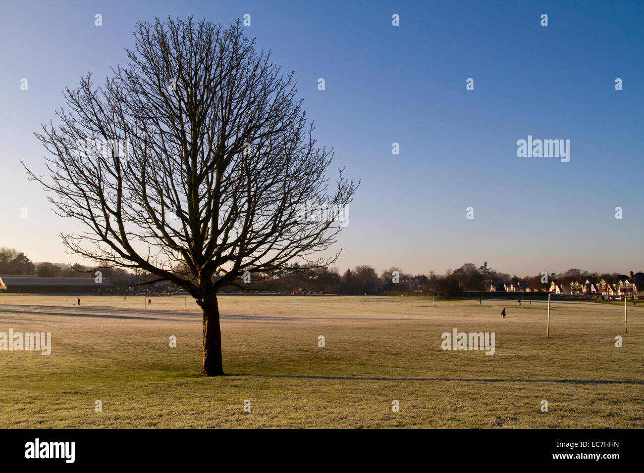 Lloyd park croydon hi-res stock photography and images - Alamy