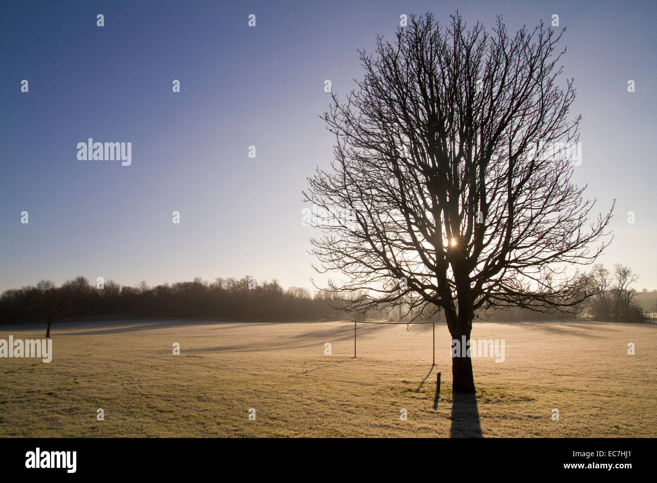 Lloyd park croydon hi-res stock photography and images - Alamy