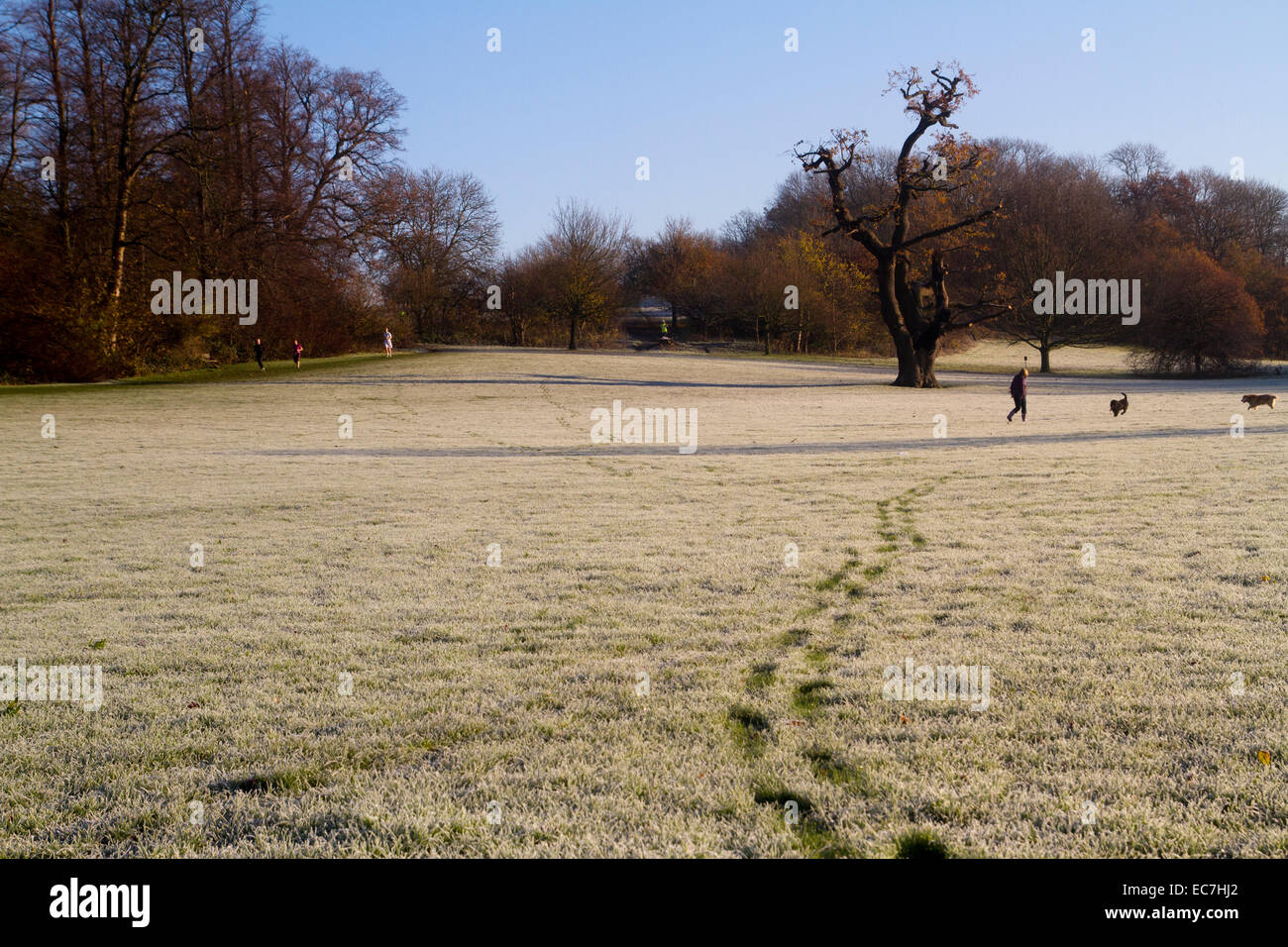 Lloyd park croydon hi-res stock photography and images - Alamy