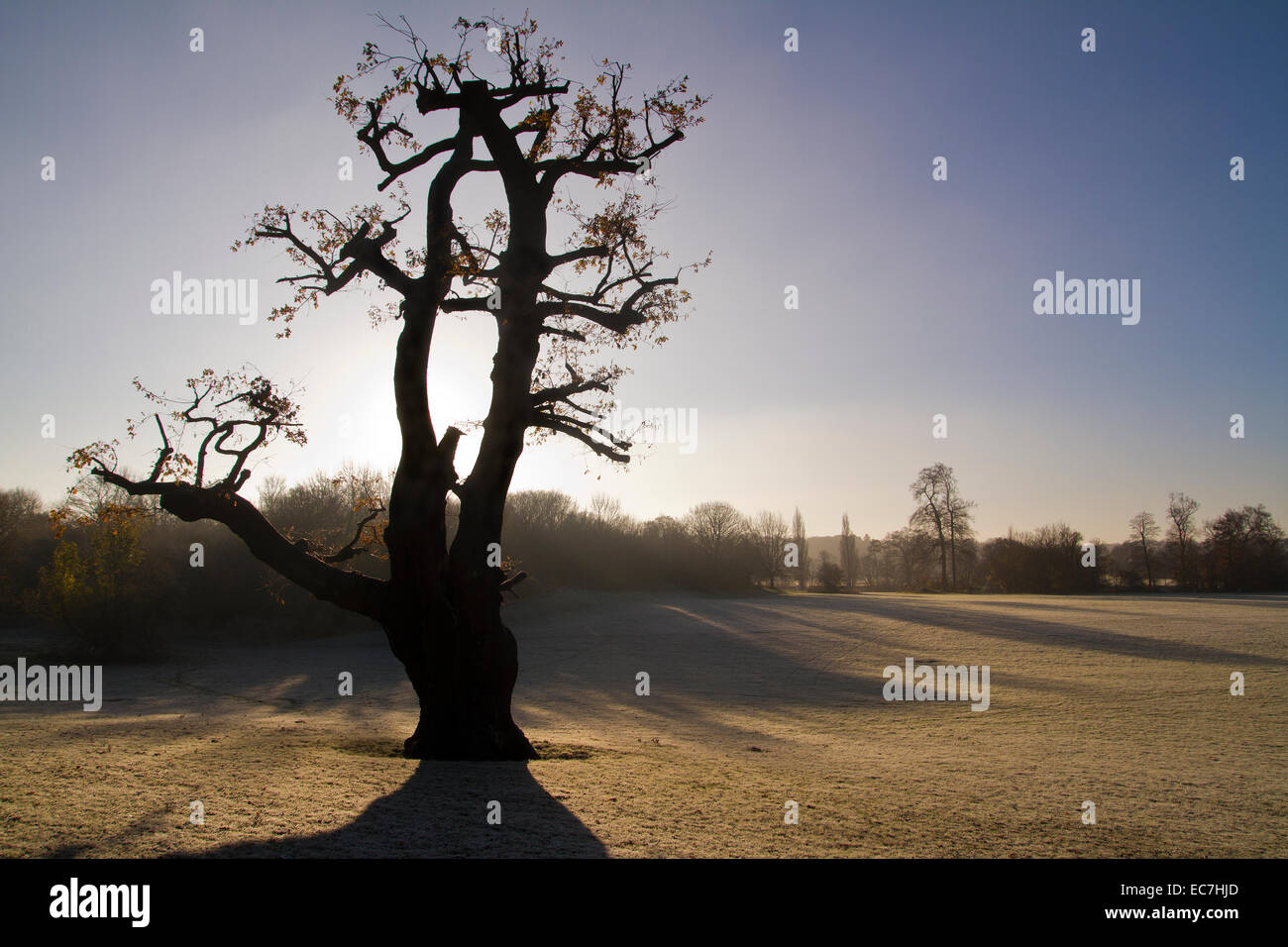 Lloyd park croydon hi-res stock photography and images - Alamy