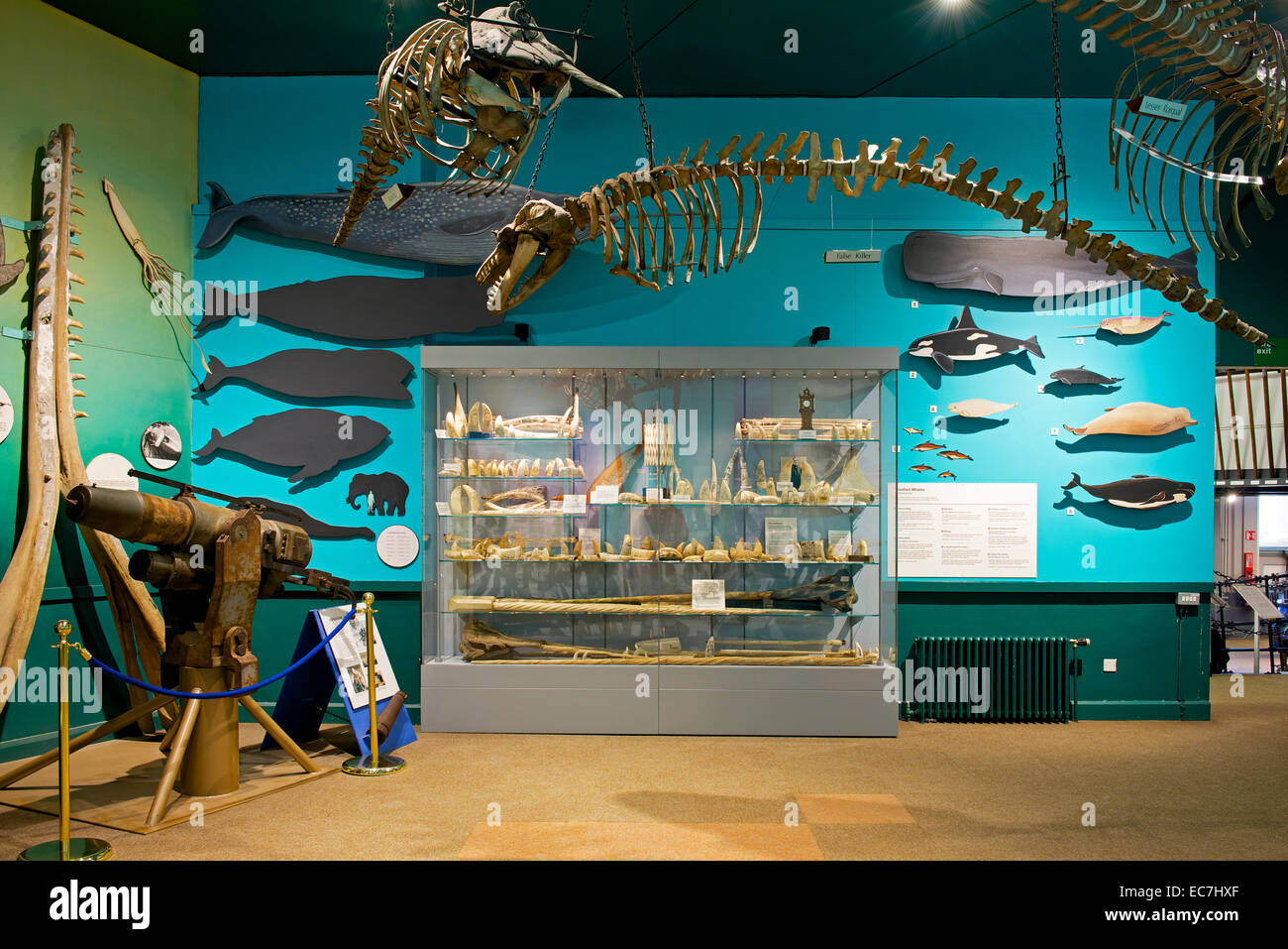 Maritime museum hull hi-res stock photography and images - Alamy