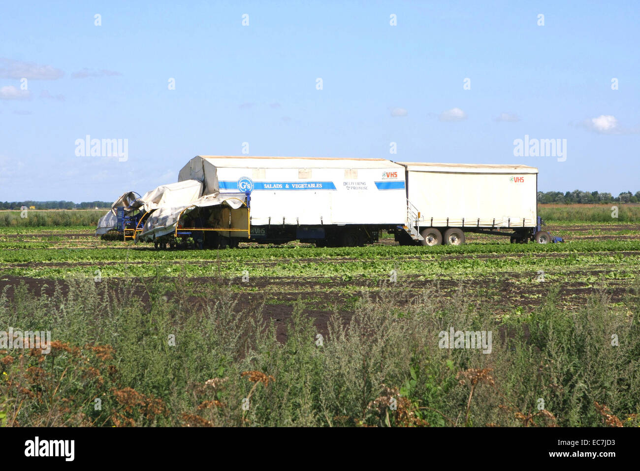 Growers hi-res stock photography and images - Alamy