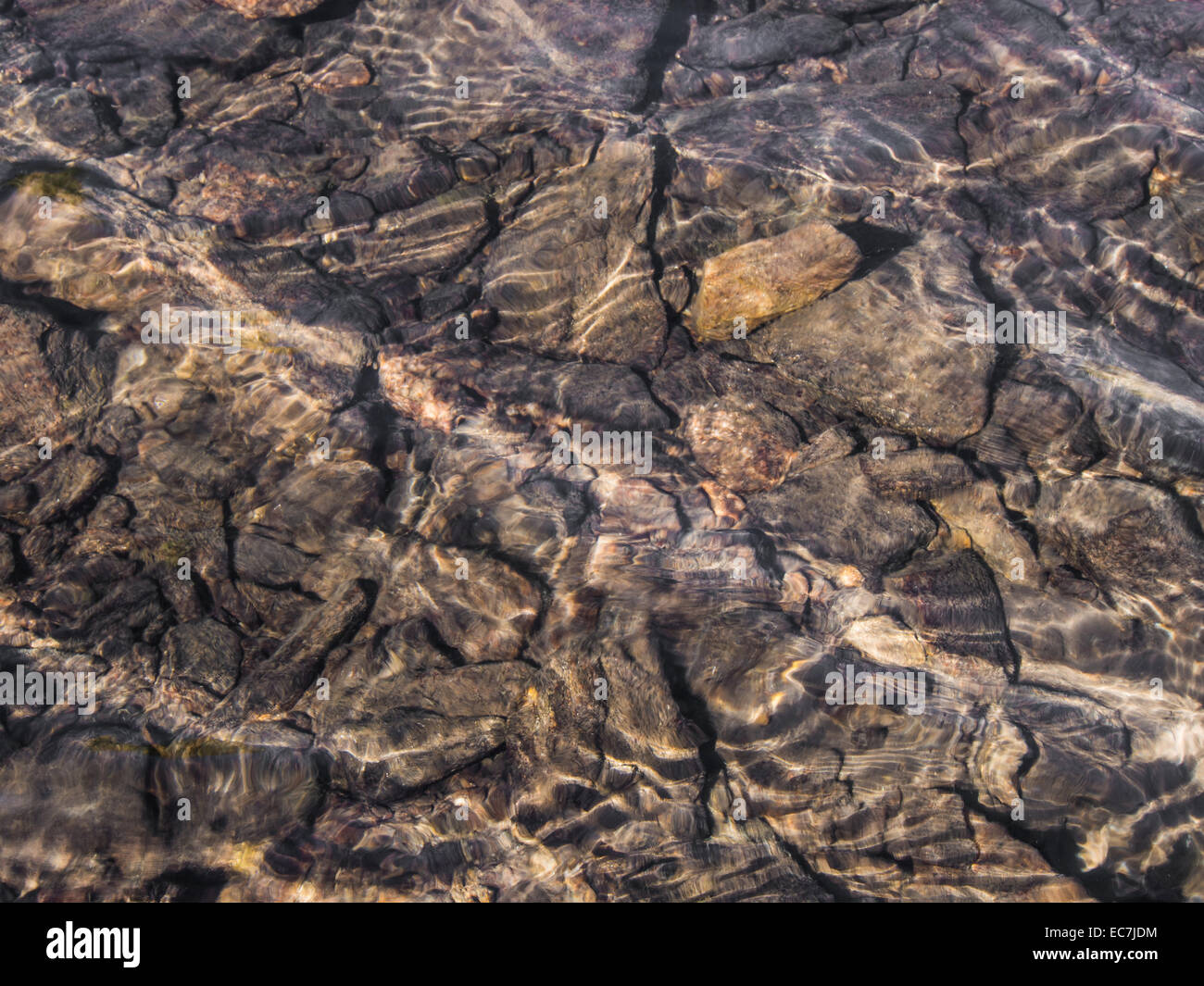 River Bottom Texture