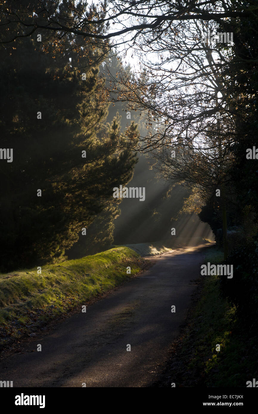 country lane with sun rays on winter morning in Croydon UK Stock Photo ...