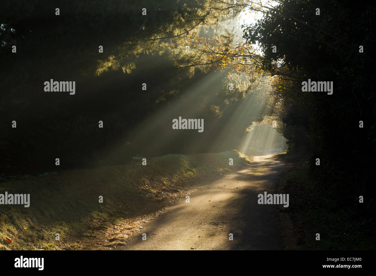 Country road sun rays hi-res stock photography and images - Alamy