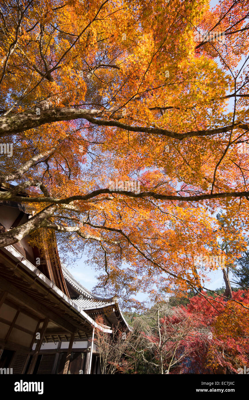 Takao temple hi-res stock photography and images - Alamy