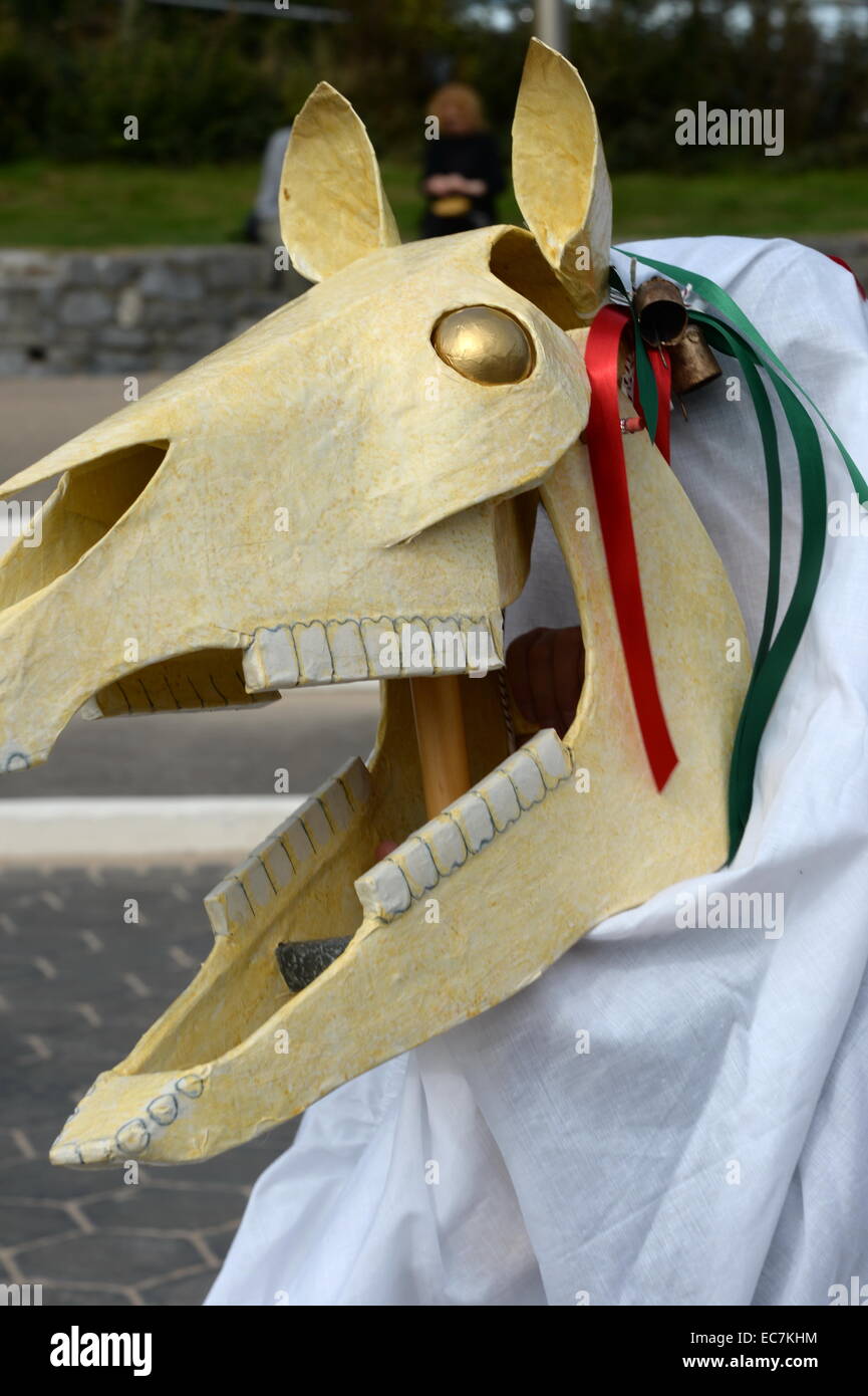 Welsh horse festival hi-res stock photography and images - Alamy