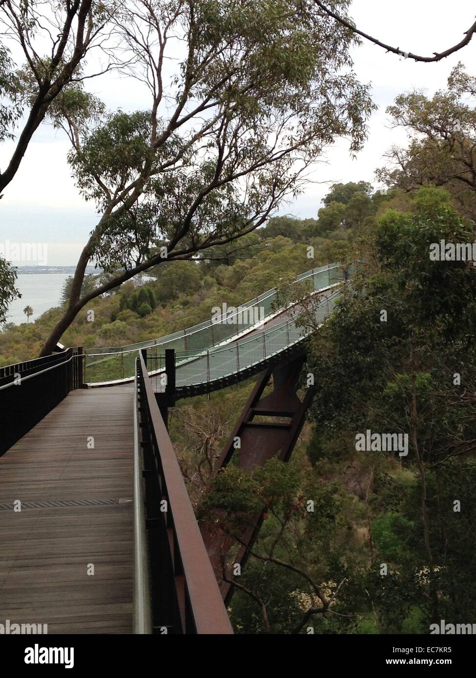 footbridge, in Kings Park, nature park, Perth, Western Australia Stock ...