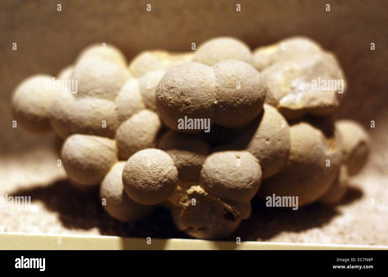 Concretionary hi-res stock photography and images - Alamy