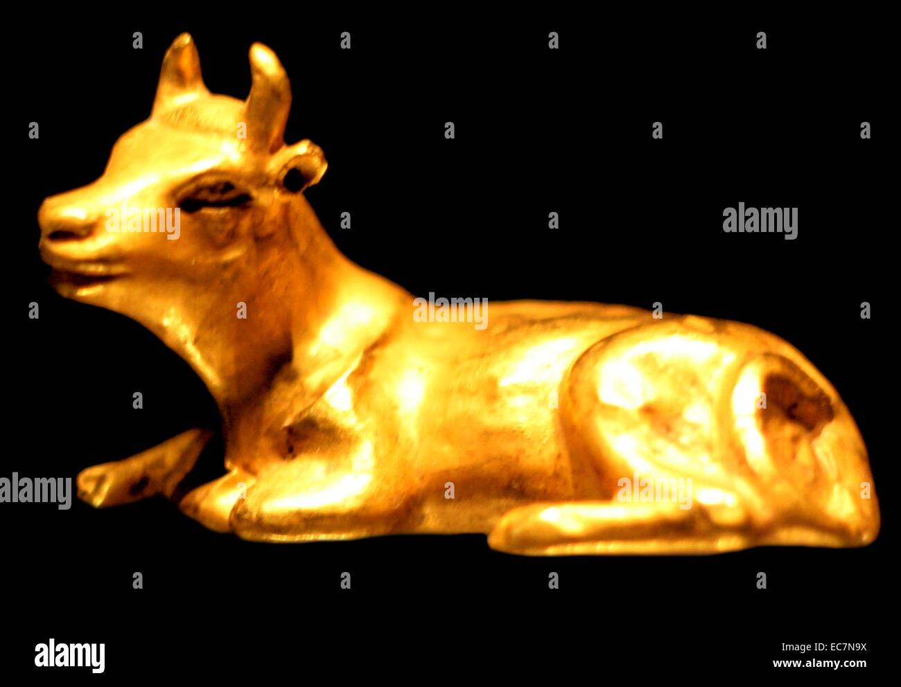 Gold bull india hi-res stock photography and images - Alamy