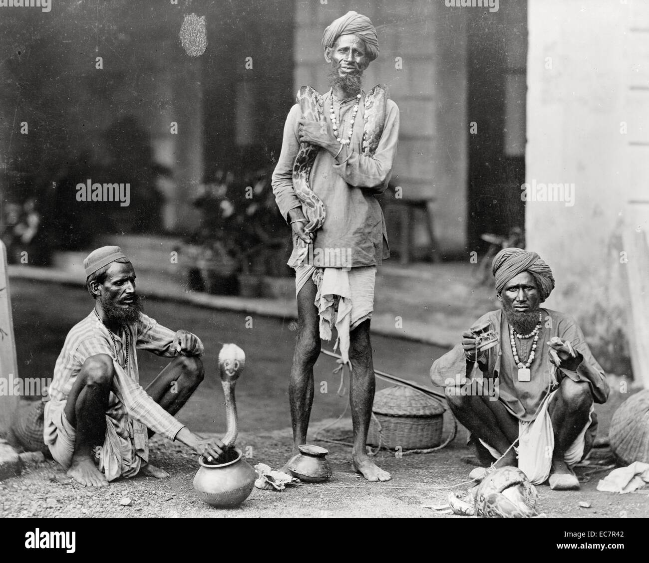 Photograph of snake charmers in India. Snake charming is the practice ...