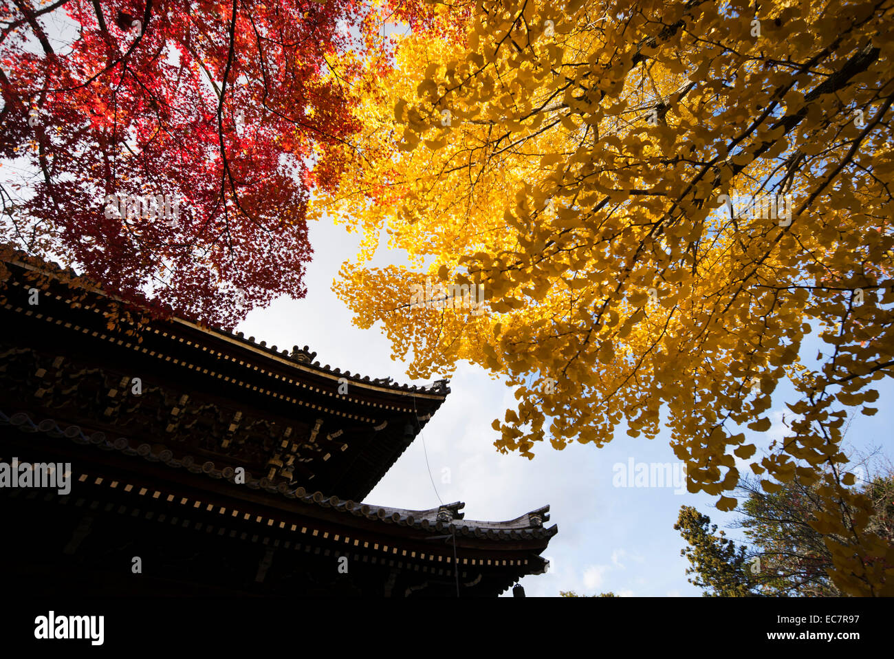 Japanese pagoda in autumnal color, Kyoto, Japan Stock Photo - Alamy