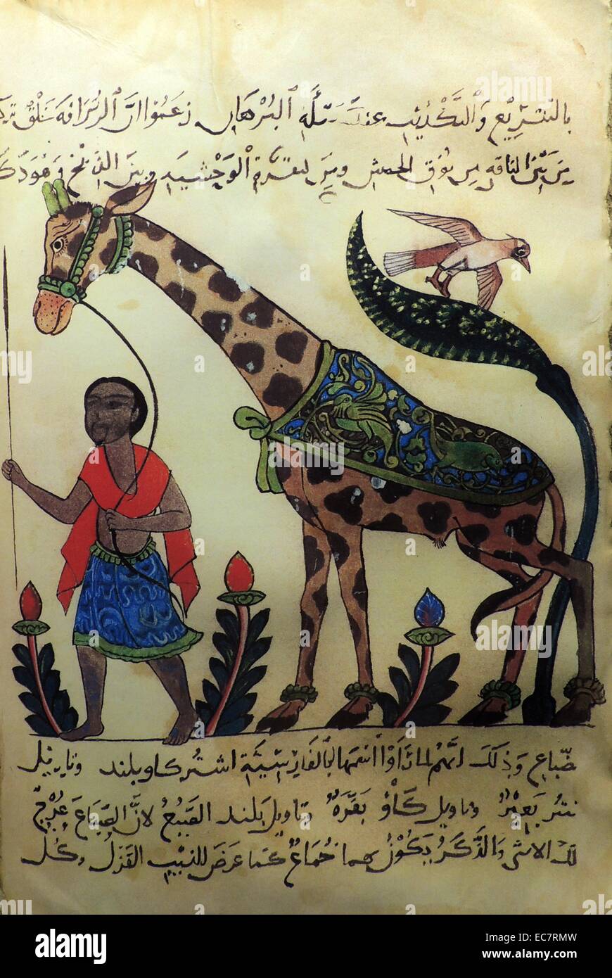 Al-Jahiz (776-868) was a philosopher, poet, zoologist and writer, one ...