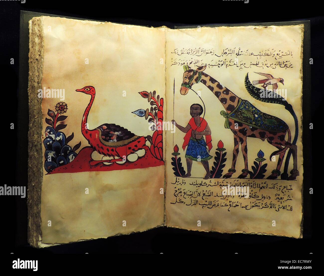 Al Jahiz El Libro De Los Animales - Leer un Libro