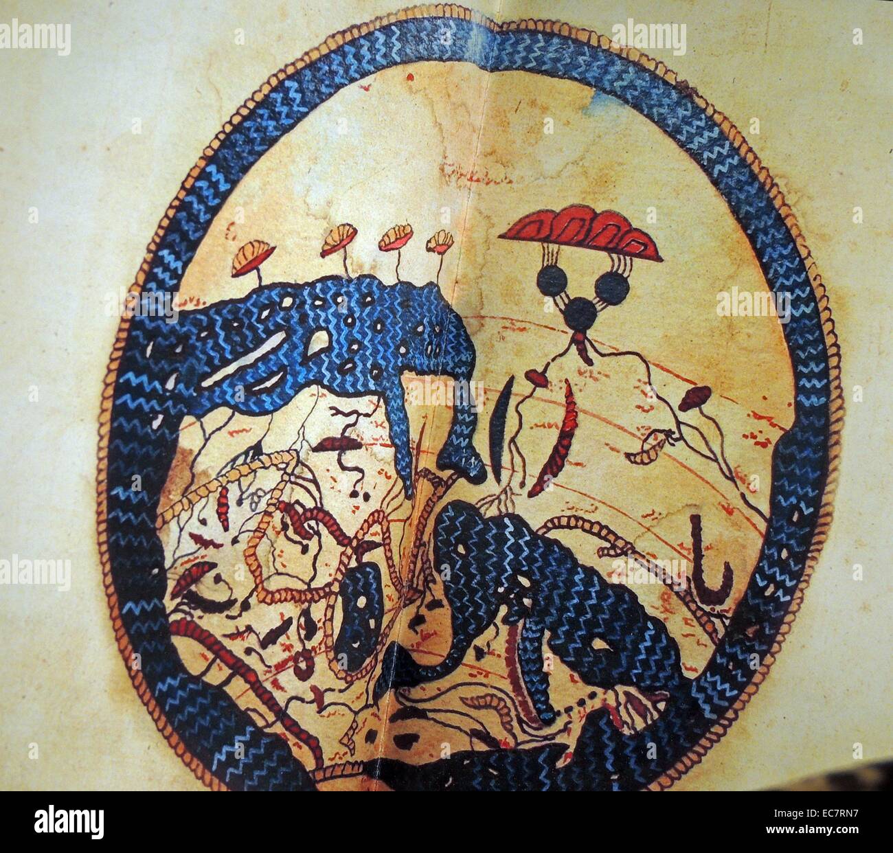 Muslim Geography And Navigation