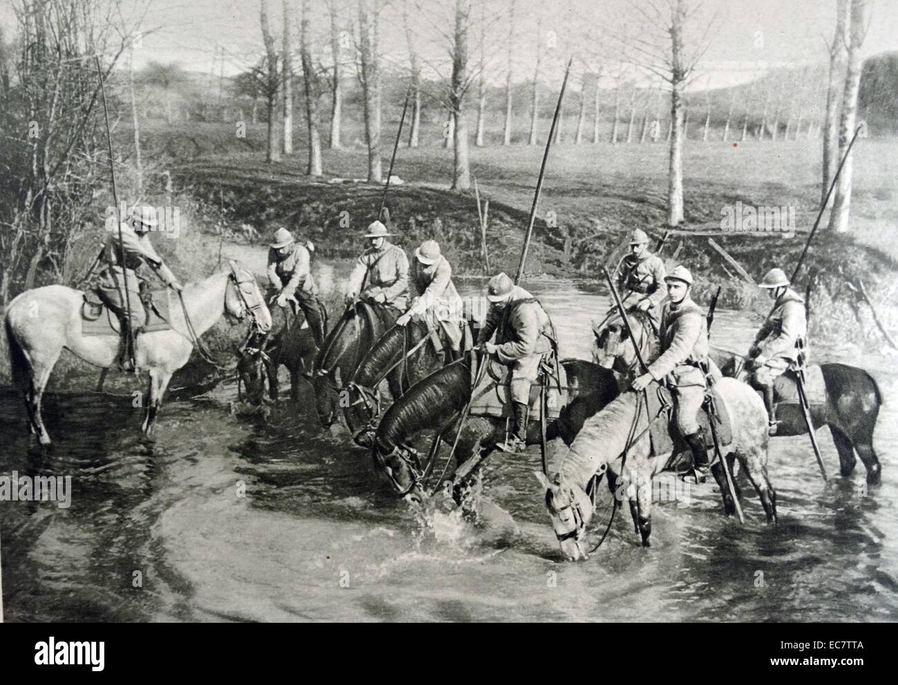 World war one horses hi-res stock photography and images - Alamy