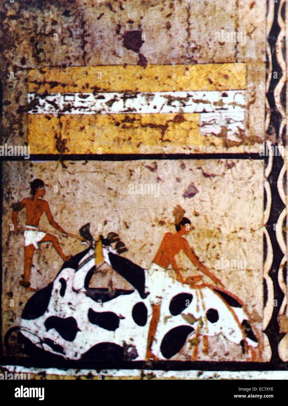 Sacrifice of a Bull. Detail of a wall painting. First Intermediate ...