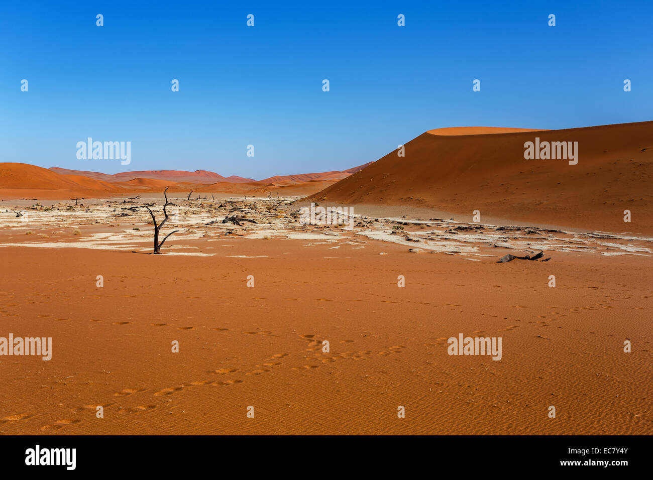 Sossusvlei beautiful sunrise landscape of hidden death valley in ...