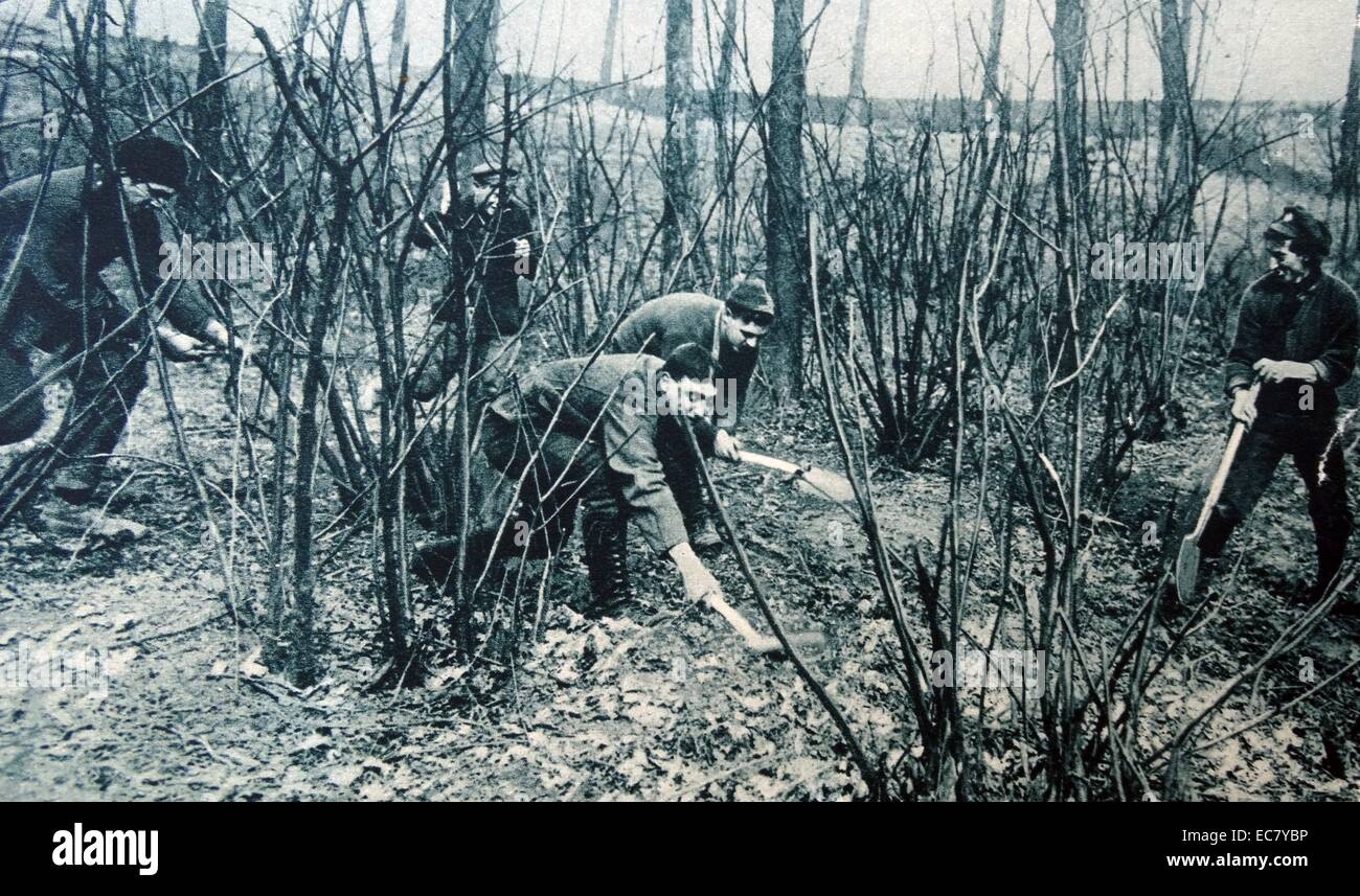 Canadian soldiers 'rat catching' during a break in fighting; world war ...