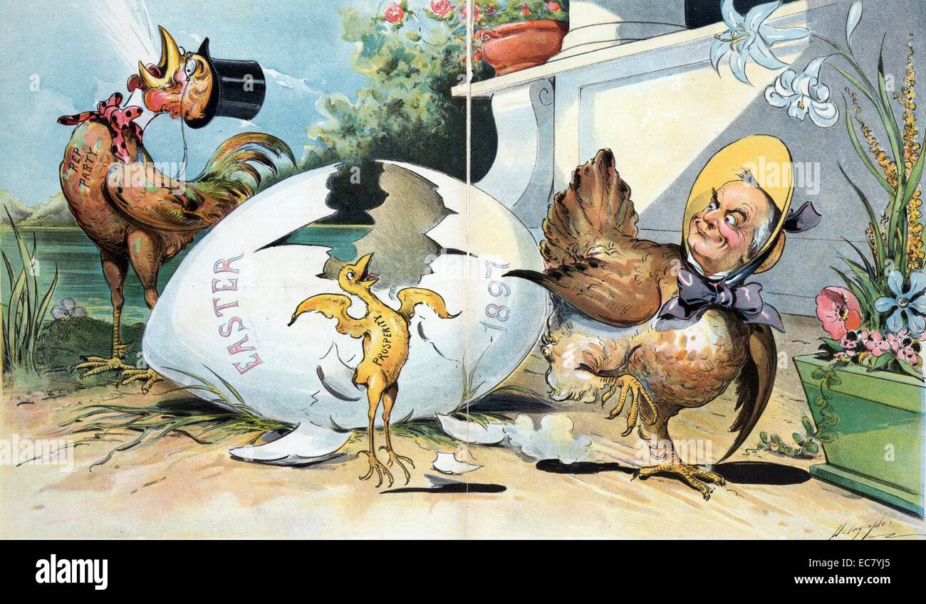 A promising chicken' Small chick labelled 'Prosperity' that has emerged ...