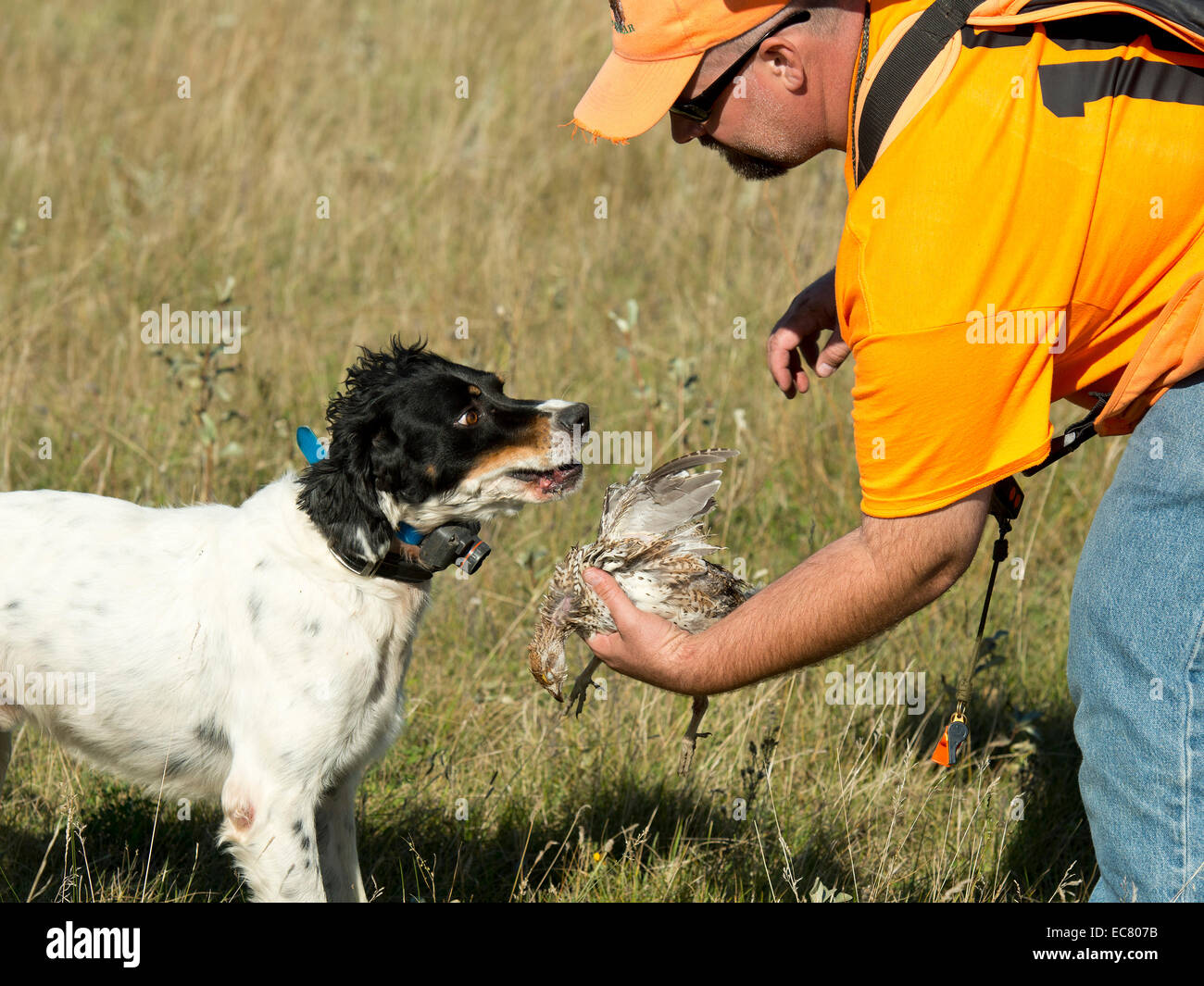 Hunter in the fall Stock Photo - Alamy