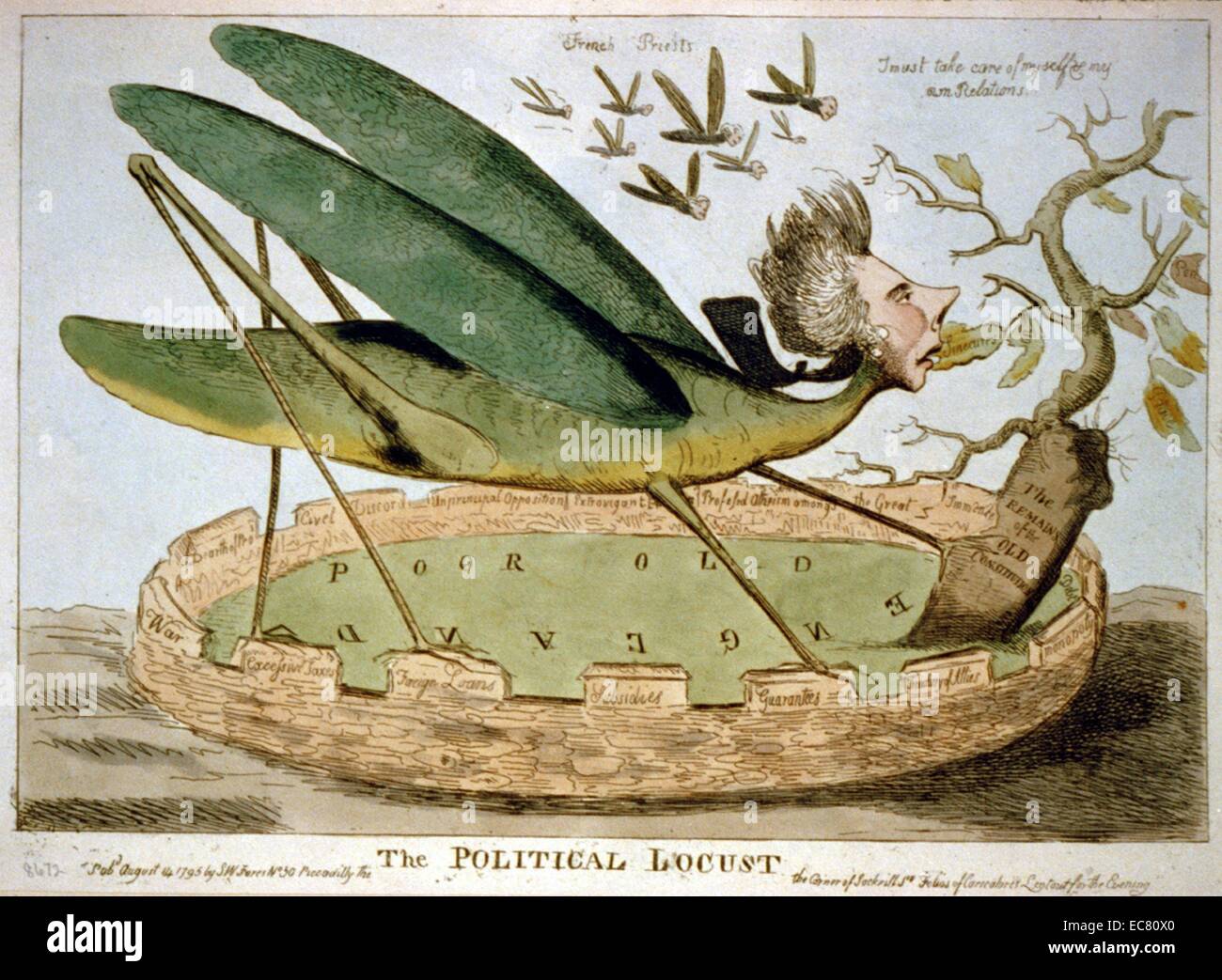 The political locust' Caricature of a devouring locust nibbling at the ...
