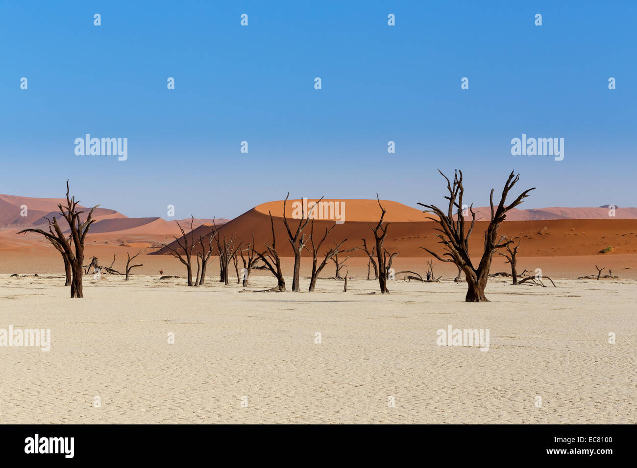Best place in namibia hi-res stock photography and images - Alamy