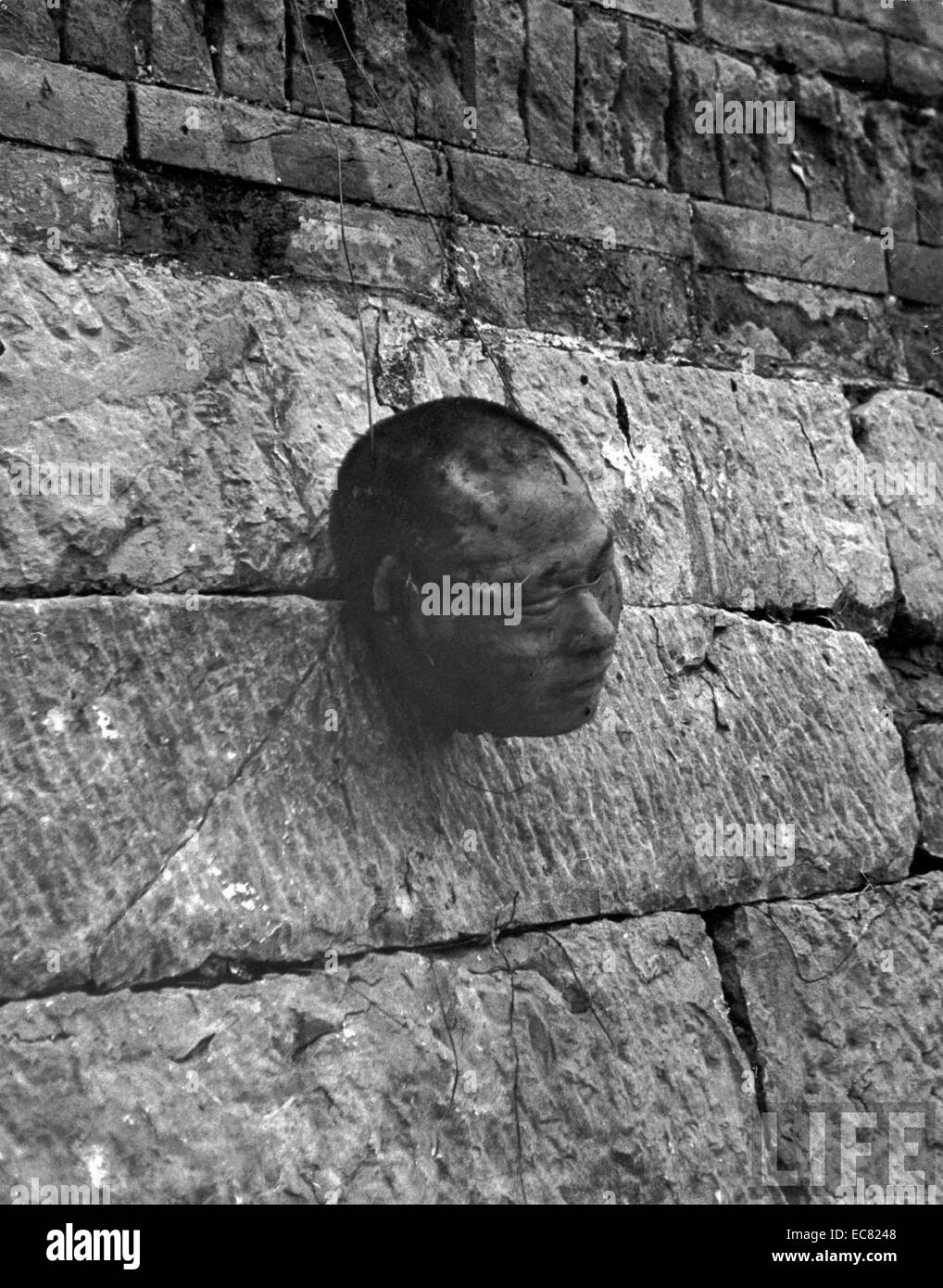 Decapitated Head Stock Photos & Decapitated Head Stock Images - Alamy