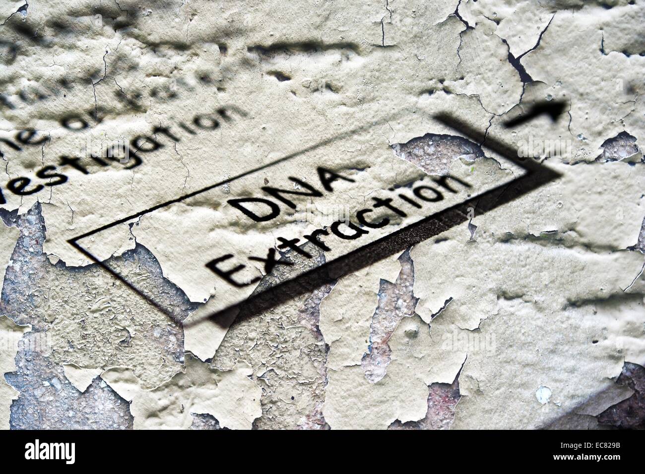 Dna extraction hi-res stock photography and images - Alamy