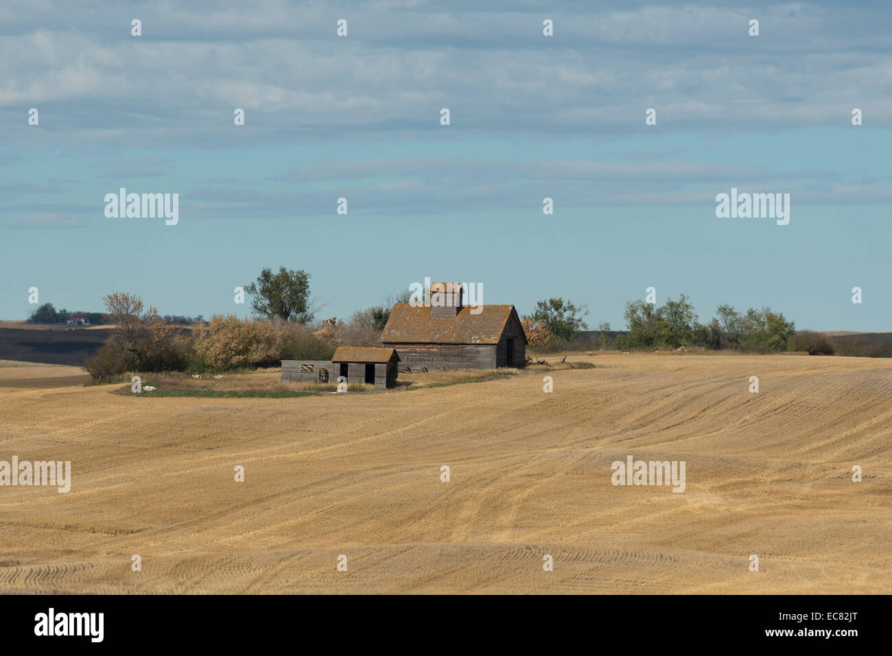 Old Farm on the Prairie Stock Photo - Alamy