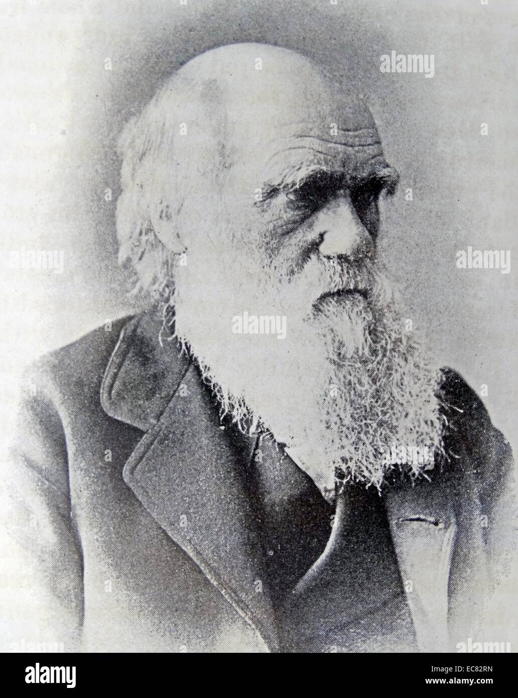 Photograph of Charles Darwin (1809-1882) English naturalist and ...