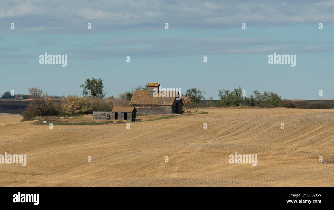 Old Farm on the Prairie Stock Photo - Alamy