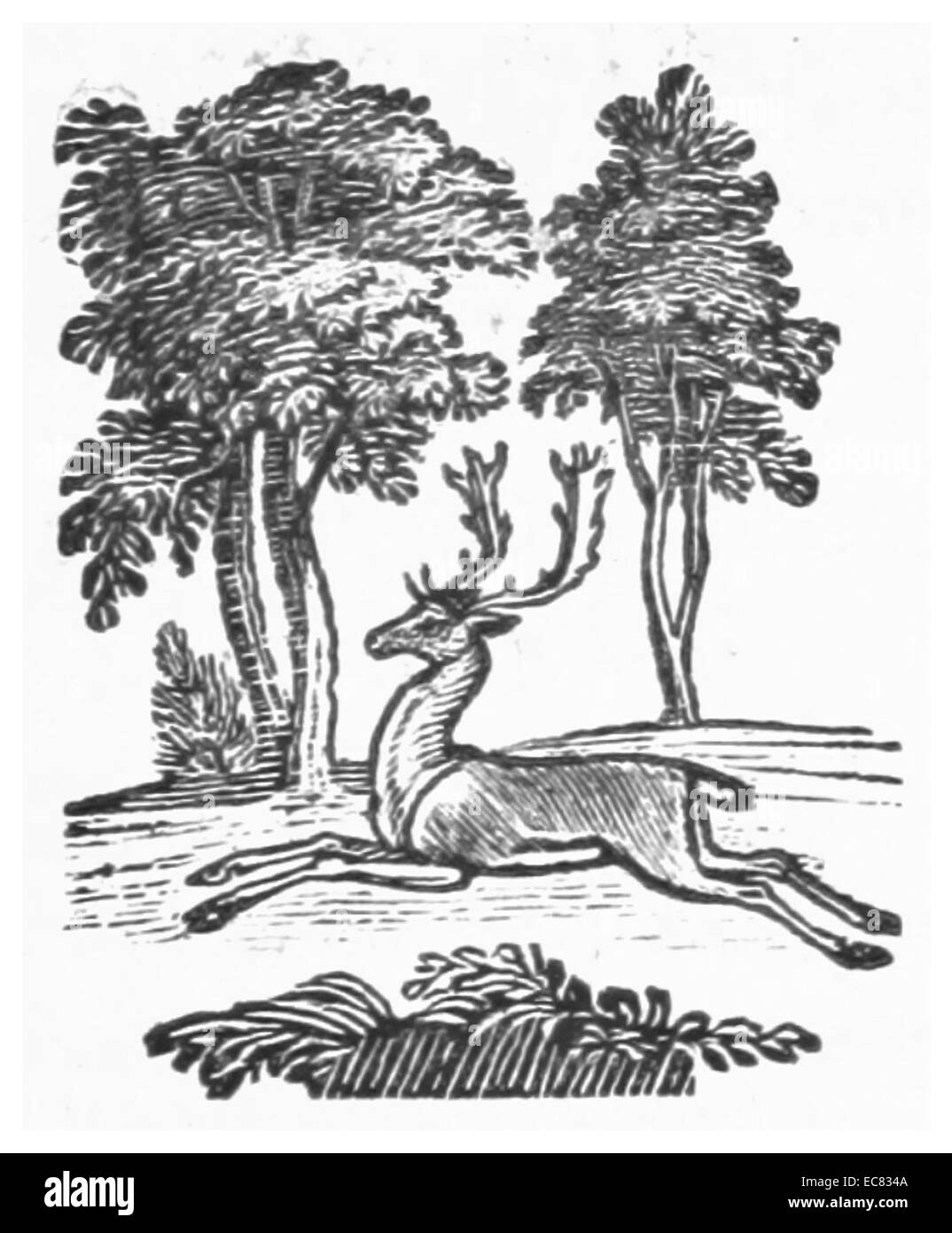 Robin hood illustration Cut Out Stock Images & Pictures - Alamy