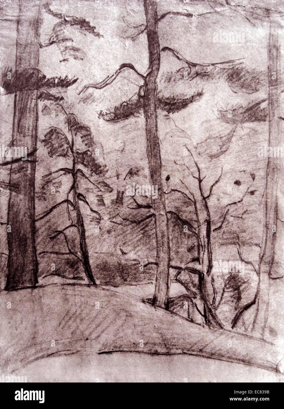 Sketch titled 'Study of Trees' depicts a selection of trees. Dated 1877 ...