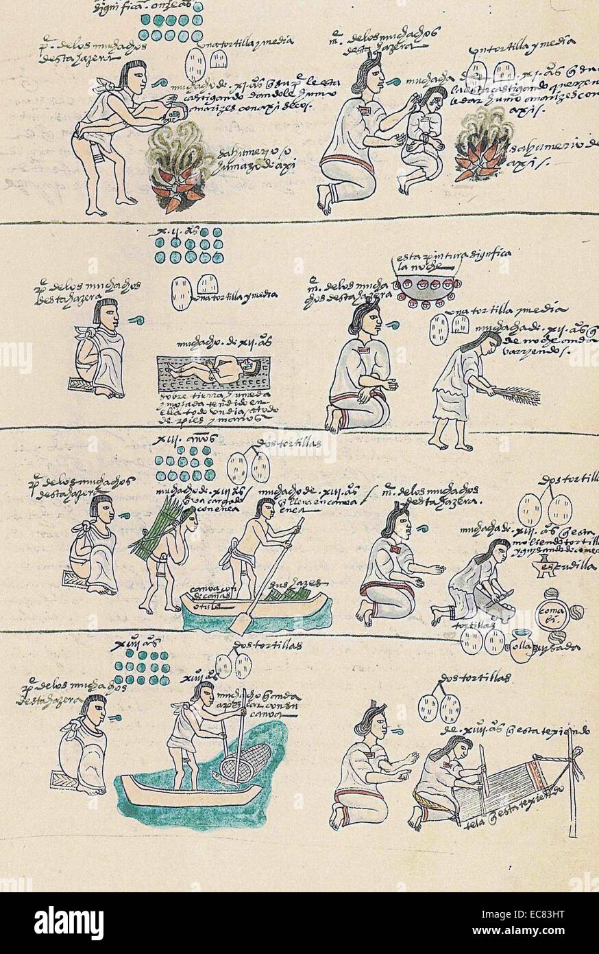 The Codex Mendoza; Aztec codex, created about twenty years after the ...