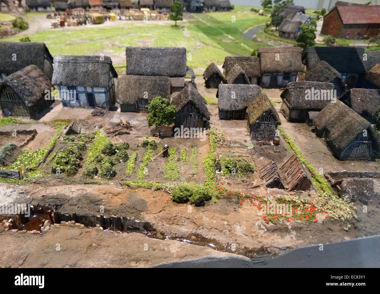 Model of homes in Birmingham 1300. All of the homes have thatched roofs ...