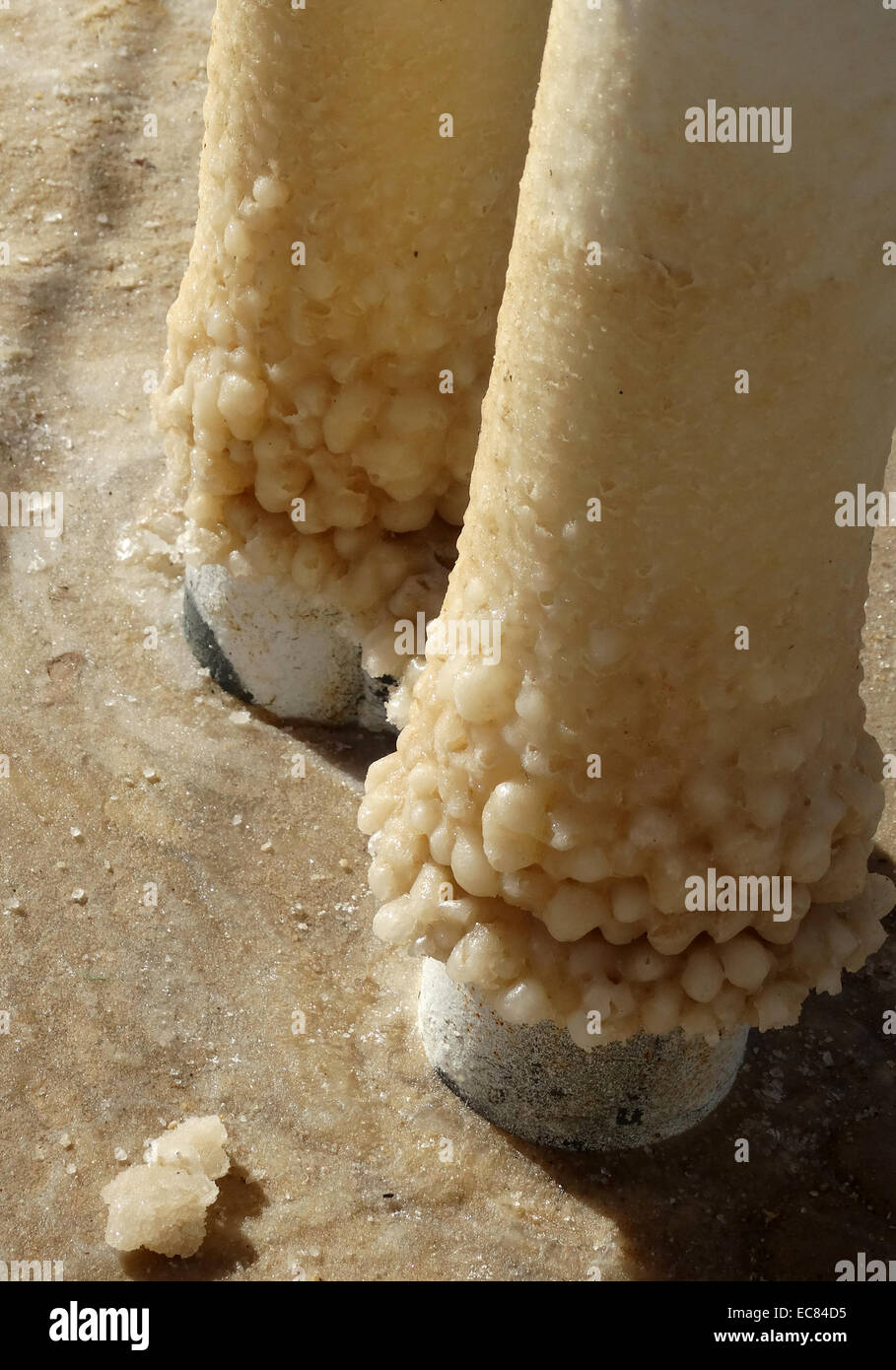 Salt deposits cling to a metal structure at the edge of the Dead Sea ...