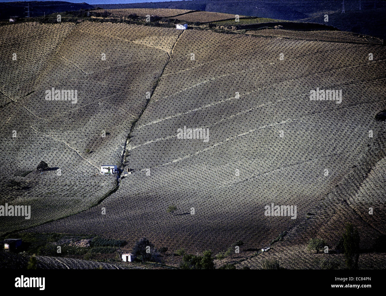 Small scale vineyards hi-res stock photography and images - Alamy