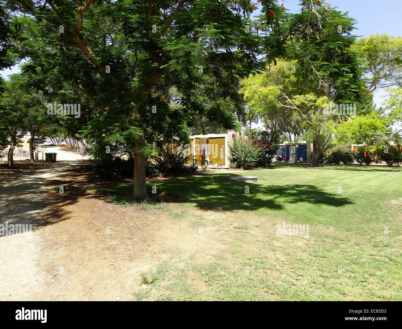 Revivim hi-res stock photography and images - Alamy