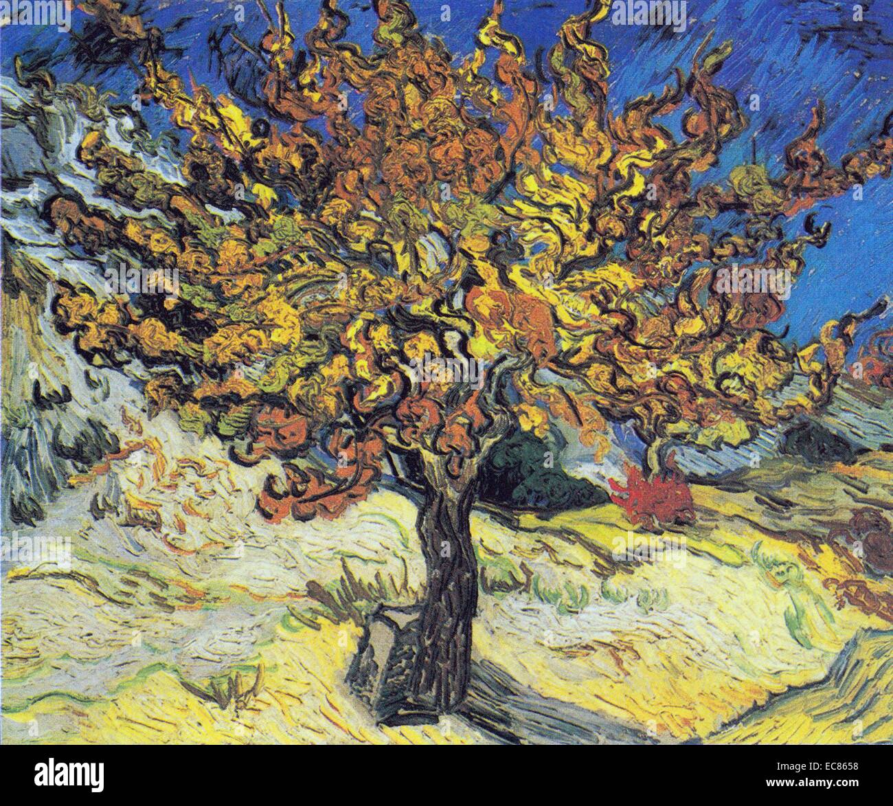 Mulberry tree van gogh hi-res stock photography and images - Alamy