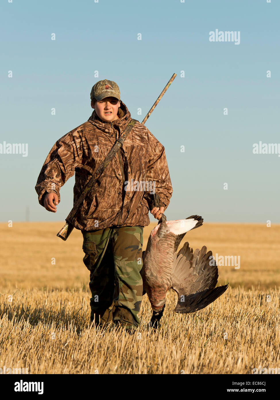 Young Goose Hunter Stock Photo - Alamy