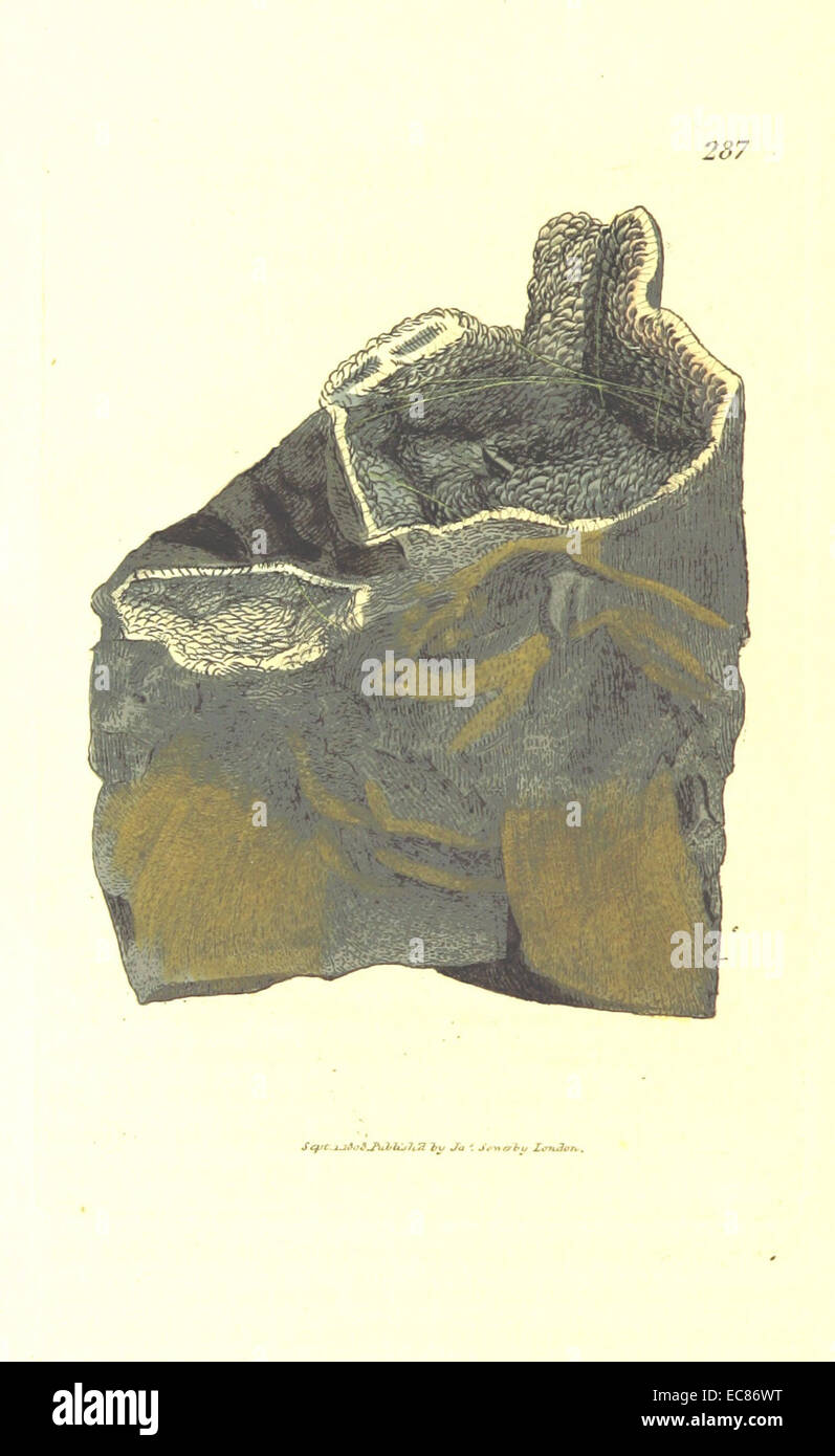 Ferrum hi-res stock photography and images - Alamy