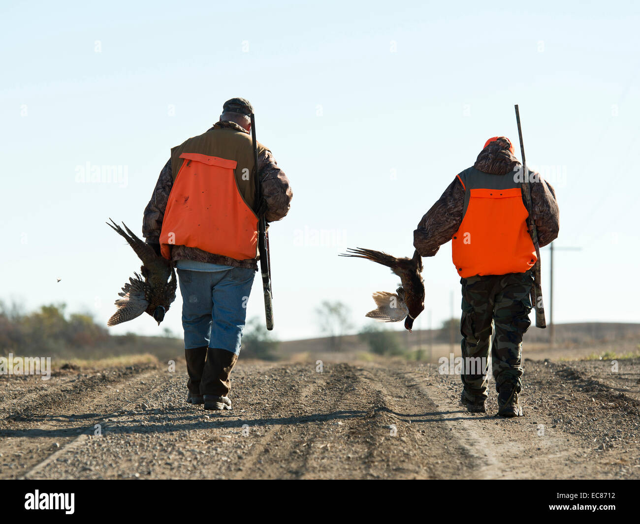 Pheasant hunters hi-res stock photography and images - Alamy