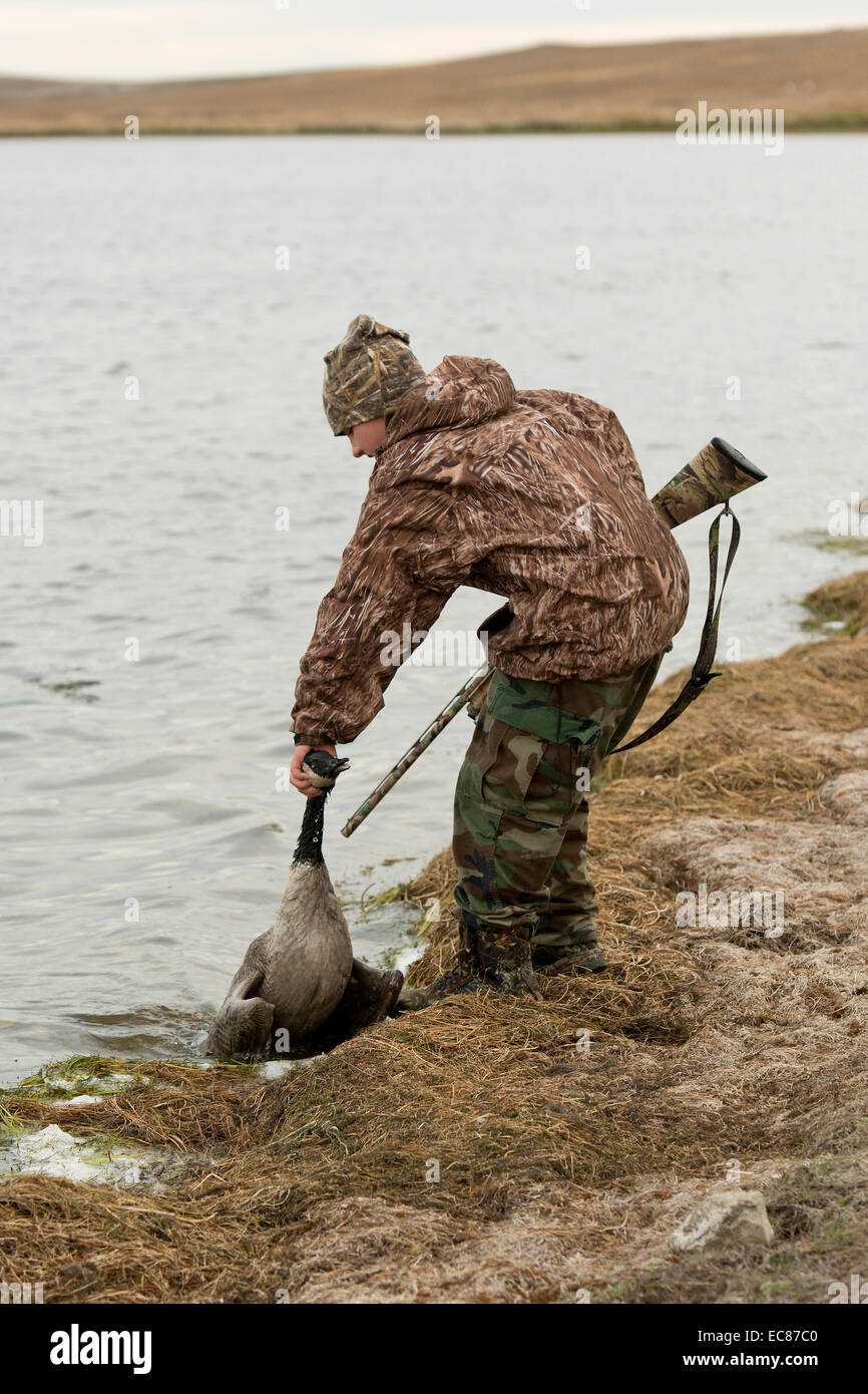 Young Goose Hunter Stock Photo - Alamy