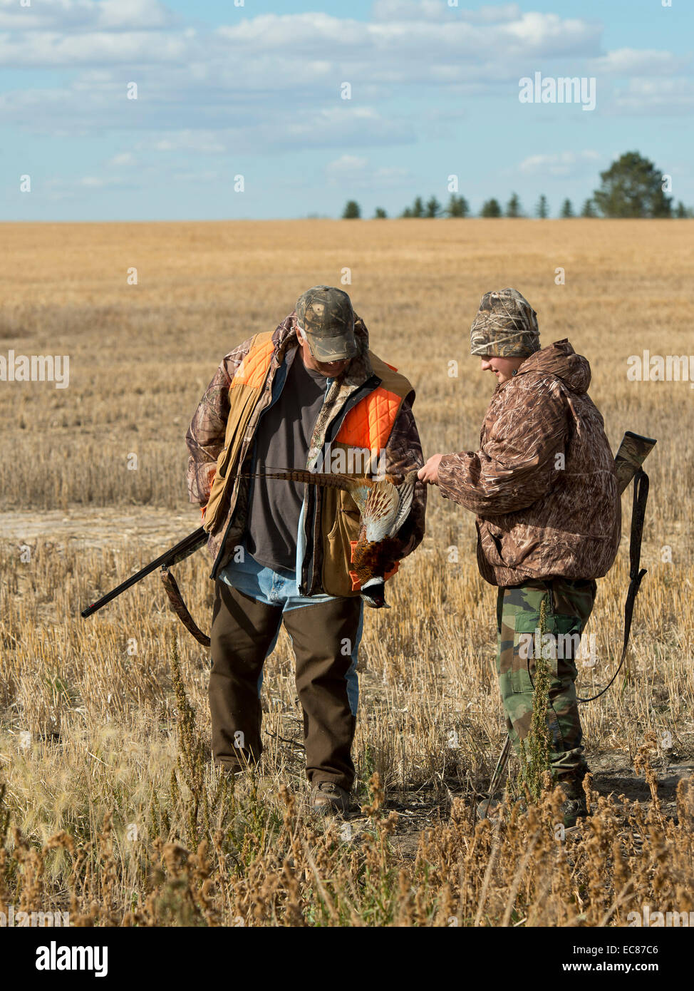 Pheasant hunters hi-res stock photography and images - Alamy