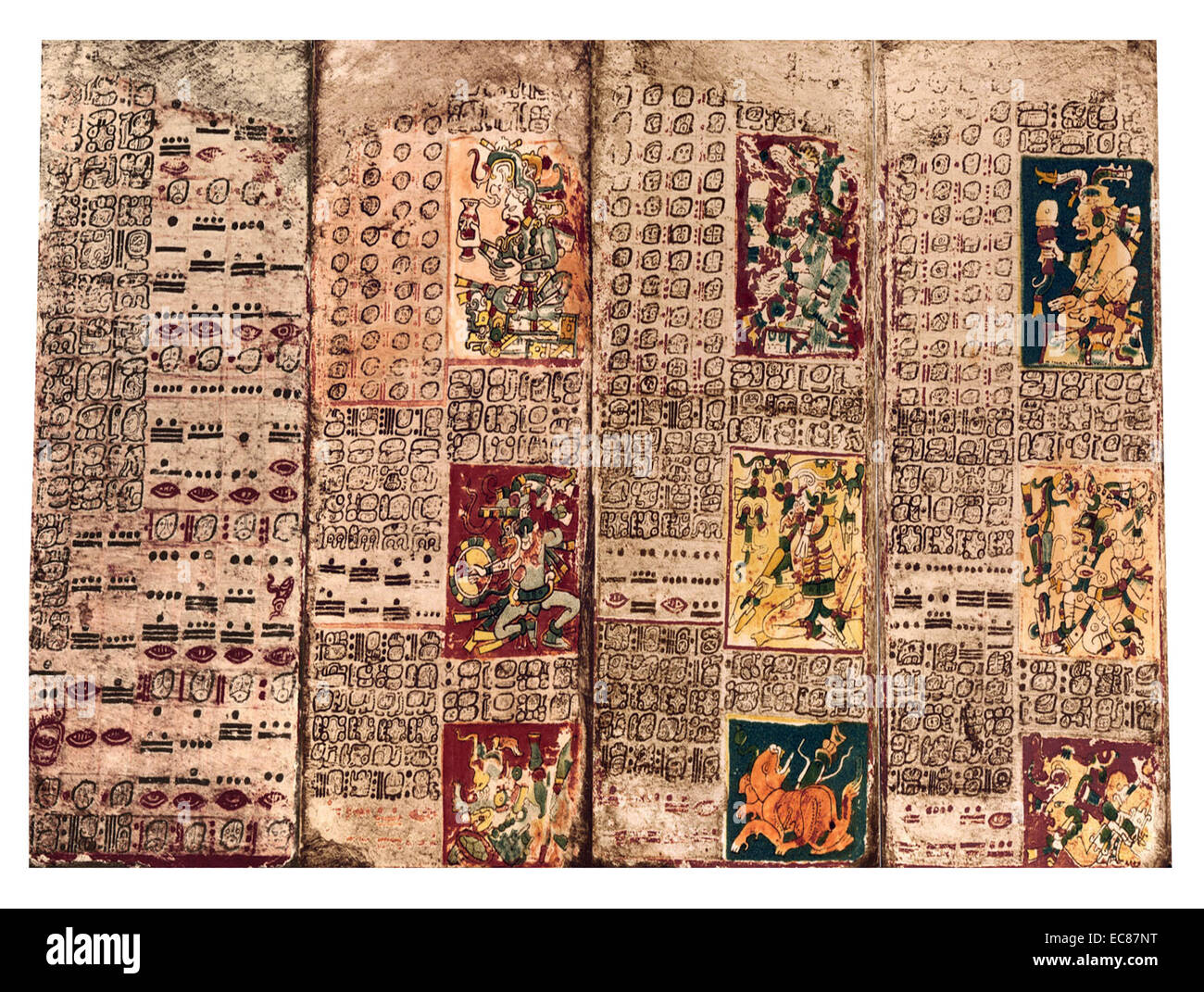 Dresden Codex Complete