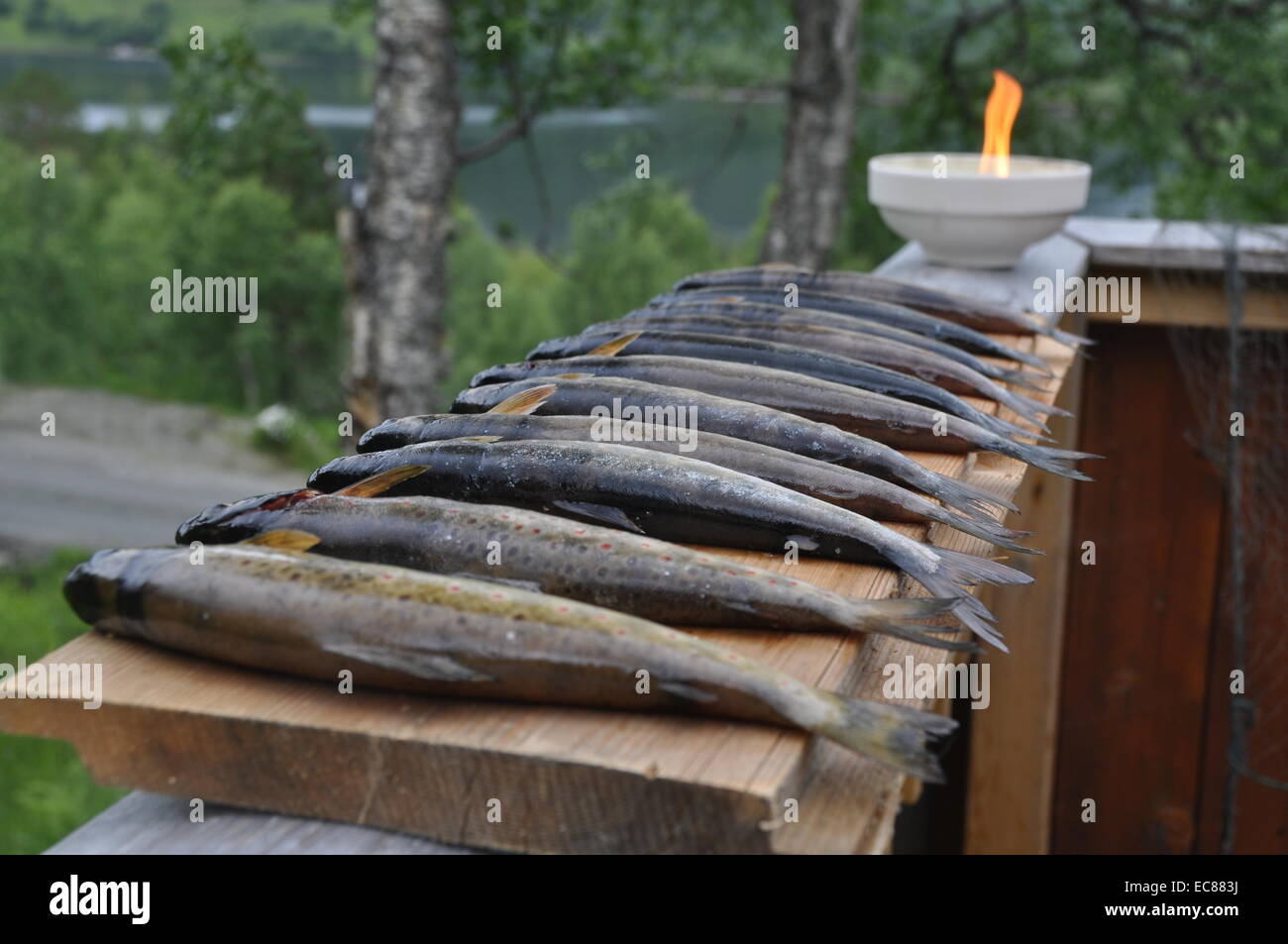 Norway fish hi-res stock photography and images - Alamy