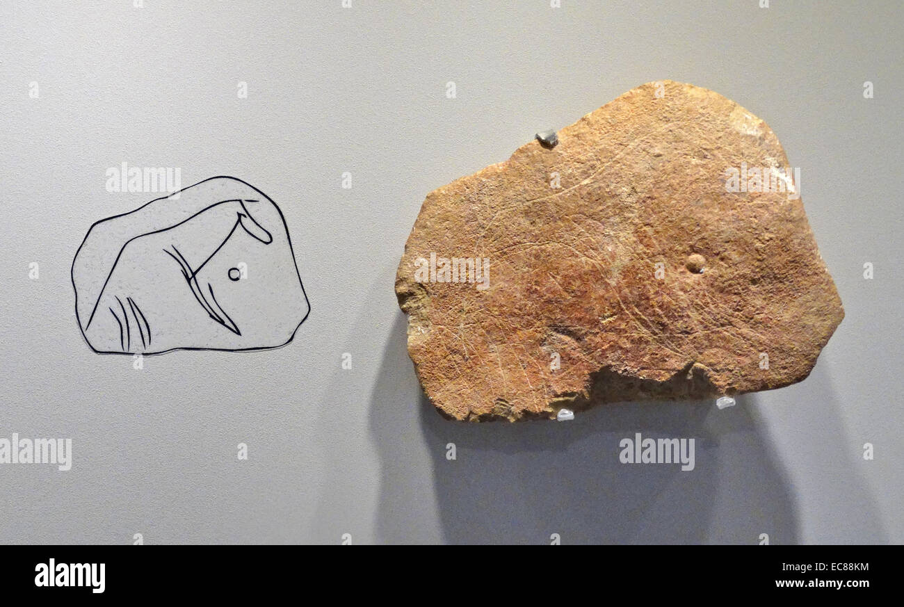 Limestone rock with a 'Horse' symbol incised on a plaque. From the ...