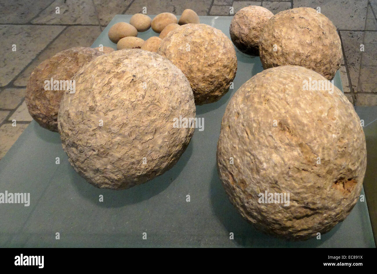 Ballista balls hi-res stock photography and images - Alamy